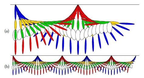 Furahan Biology And Allied Matters Predatory Brachiation An Arms Race