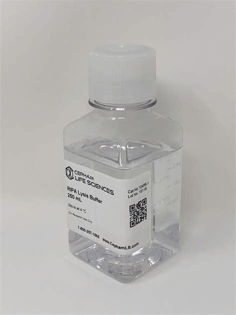 Ripa Lysis Buffer Recipe Besto Blog