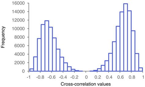 The Data From The Biological Example Histogram Of Cross Correlations