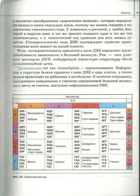 Учебник по биологии 10-11 класс Сивоглазов Агафонова Захарова читать онлайн