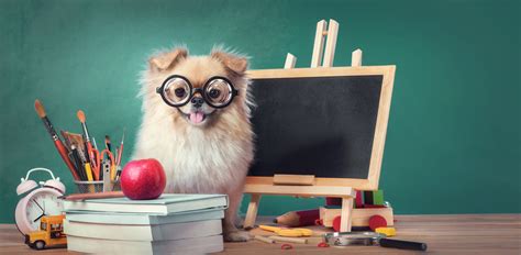 Back To School Shopraise