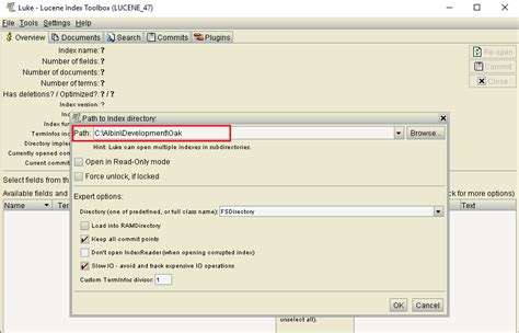 How To Use Luke Lucene Index Toolbox To Analyze Lucene Index In AEM