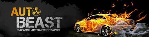 Магазин автоаксессуаров AutoBeast | Интернет-магазин автоаксессуаров и ...