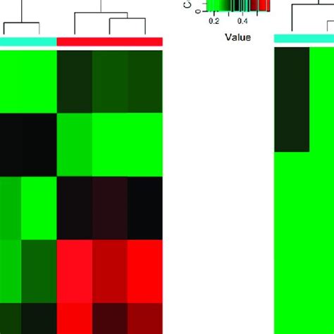 RNA Integrity And Genomic DNA Contamination Examined By Denaturing Download Scientific Diagram