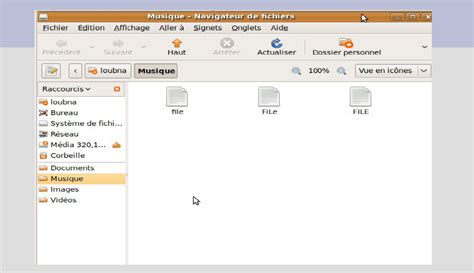 Système De Fichiers Sous Linux ~ Linux
