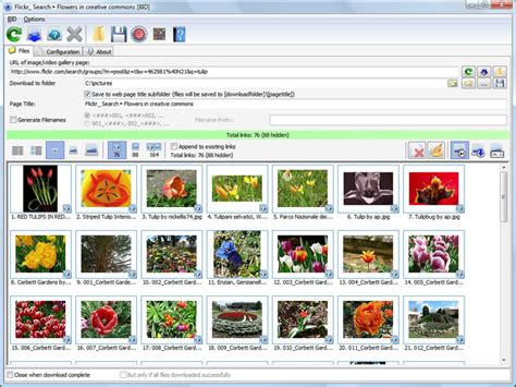 Bulk Image Downloader – Get this Extension for 🦊 Firefox (en-US)