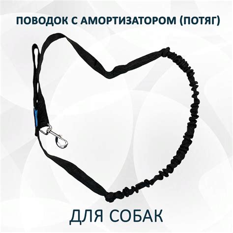 Поводок для собак с амортизатором (потяг) чёрный. 2 м - купить с ...