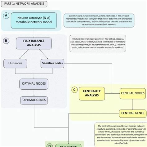 Stream Episode Integrative Analysis Reveals Metabolic Switch In Aging