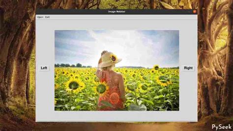 Create An Image Rotator Application Using Python And Tkinter
