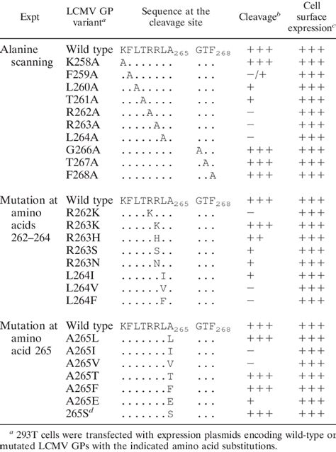 Lcmv Gp Sequence At The Cleavage Site And Results Of Mutational