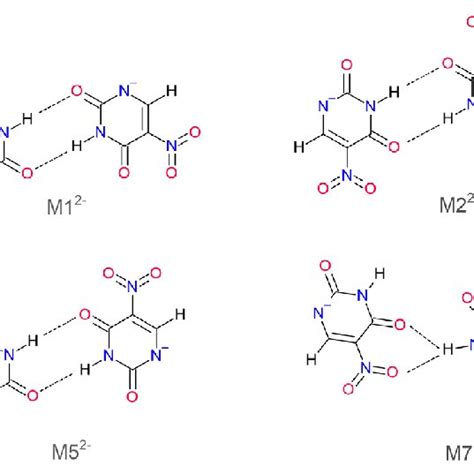 Typical H Bonding Schemes With The Neutral 5nu The Green Arrows Download Scientific Diagram