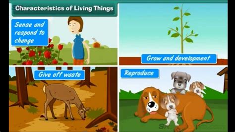 Living Things Grow And Develop