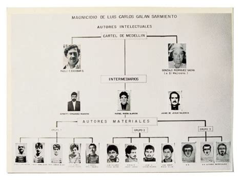 Medellin Cartel Colombias Medellin Cartel Undergoing Transformation