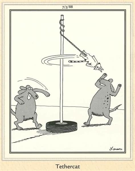 7 5 88 Gary Larson Cartoons Far Side Cartoons Far Side Comics