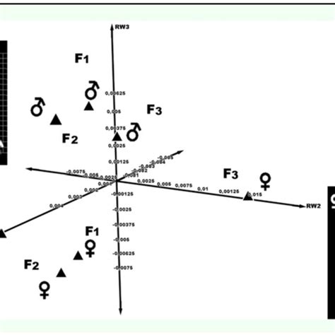 3d Dispersion Plot Showing The Relative Positions Of The Different Download Scientific Diagram