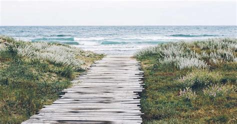 Haim Skyjet On Linkedin Programming Webdevelopment Devops Codingtutorials Technews