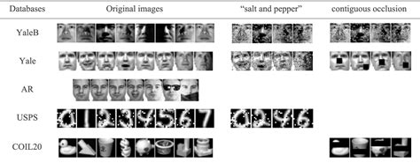 Figure 1 From Integrated Sparse Coding With Graph Learning For Robust