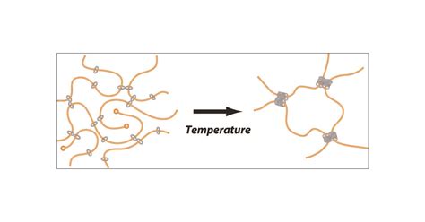 Sol−gel Transition Of Hydrophobically Modified Polyrotaxane Macromolecules