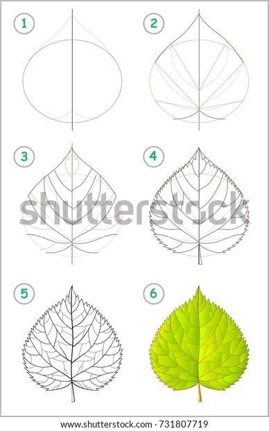 Page Shows How Learn Step By Stock Vector Royalty Free Shutterstock Flower