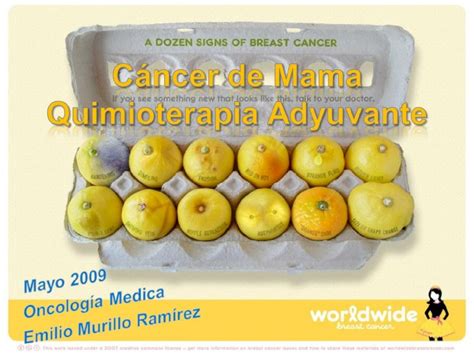 (PPT) Cáncer de Mama Quimioterapia Adyuvante - DOKUMEN.TIPS