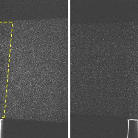Sample Particle Images From One Of The 3d Cameras Average Seeding