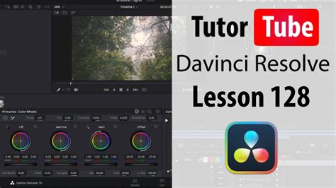 Davinci Resolve Tutorial - Lesson 128 - Adding Annotations - YouTube