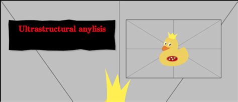 latex how can put lateral title in block tikz overleaf stack overflow