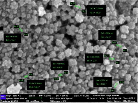 The Particle Size And Morphology Of Agnps Under Fesem 50 000 X Download Scientific Diagram