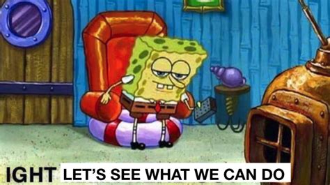 Bowtiedkinkajou 🎄 🎄 Bowtiedkinkajou Twitter