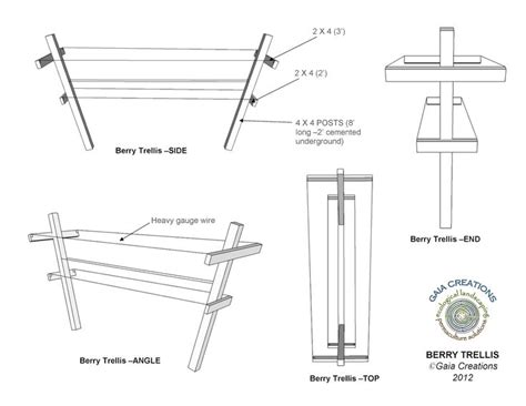 T Trellis Dimensions For Raspberry GAIA CREATIONS Berries Trellising And Harvest In 2022