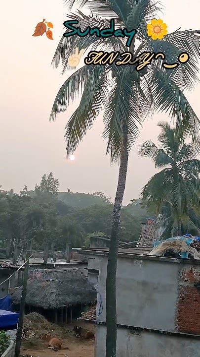 Minivlog 9 🌼shorts Minivlog Viralvideo Itzsadiya09 Youtube