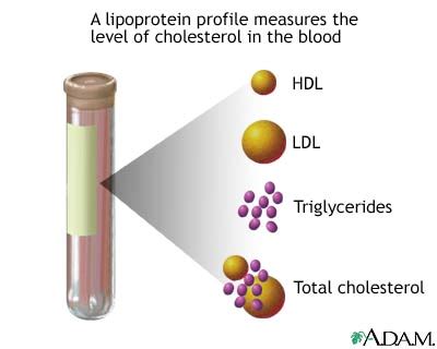 Monitoring Your Cholesterol Understanding Cholesterol