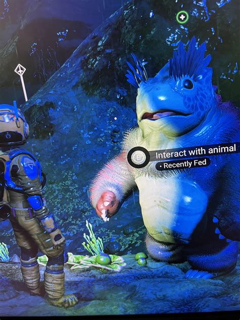Cute R Nomansskythegame