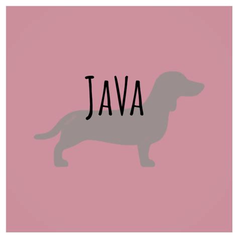 Java 논리연산자