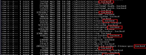 Ransomware Hosts Security Issues Host Security Checks Best Practices Security Technologies And