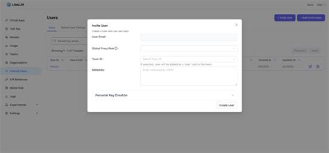 Add Vllm Model To Litellm