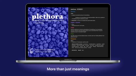 These Are The First New Mac Catalyst Apps For Catalina 9to5mac