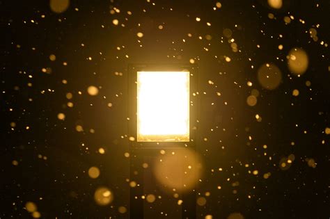 Similarity Matching Using Snowflake Cortex Vector Embedding By