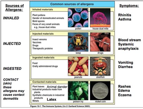 Micro Hypersensitivity And Immunodeficiency Flashcards Quizlet
