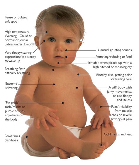 Newborn With Viral Meningitis At John Richard Blog