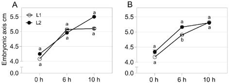 Embryonic Axis Length During Germination In Two Commercial Cultivars