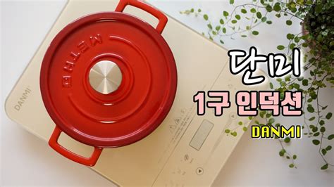 단미 1구 인덕션 Danmi 감성 주방 전기레인지 후기 네이버 Tv