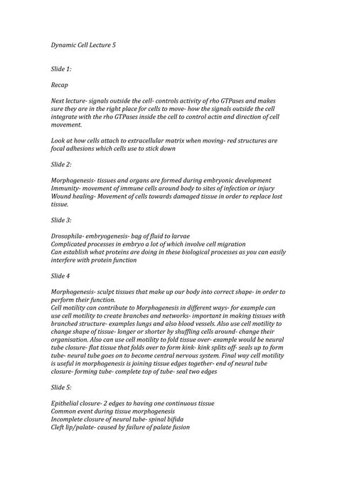 Dynamic Cell Lecture 5 Look At How Cells Attach To Extracellular