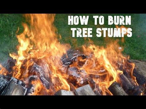 How To Remove A Tree Stump The Easy Way