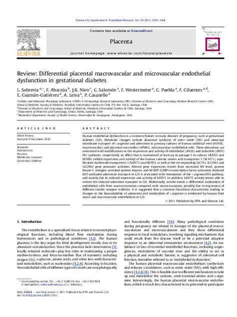 Pdf Review Differential Placental Macrovascular And Microvascular Endothelial Dysfunction In