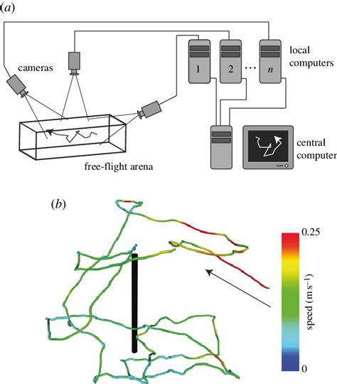 A Schematic Of The Multi Camera Tracking System B A Trajectory Of