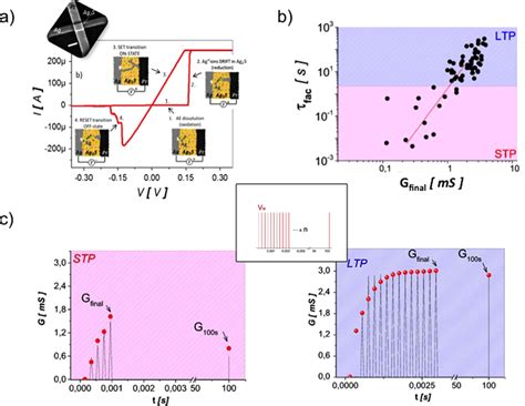 interplay of multiple synaptic plasticity features in filamentary