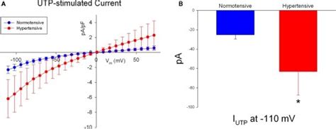 A Summary Current Voltage IV Relationships Demonstrating Download Scientific Diagram