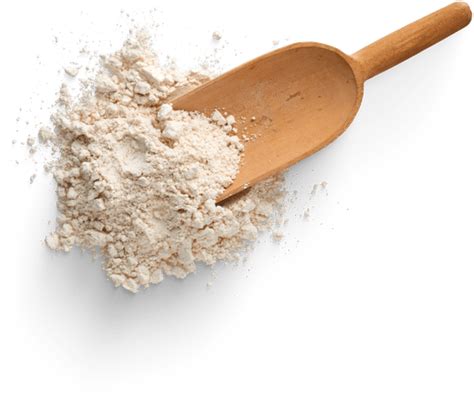 Corn Flour Vs Wheat How They Differ In Texture Flavor And Uses DeliFo