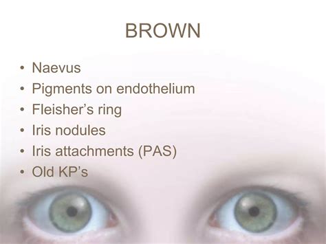 Eye Colour Coding Pptx